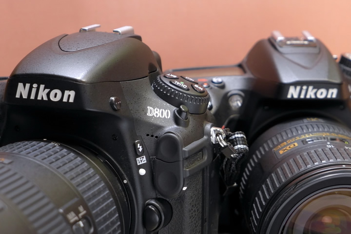 桜ダブルヘッダー『ニコン D800／D7200』 | CAPA CAMERA WEB