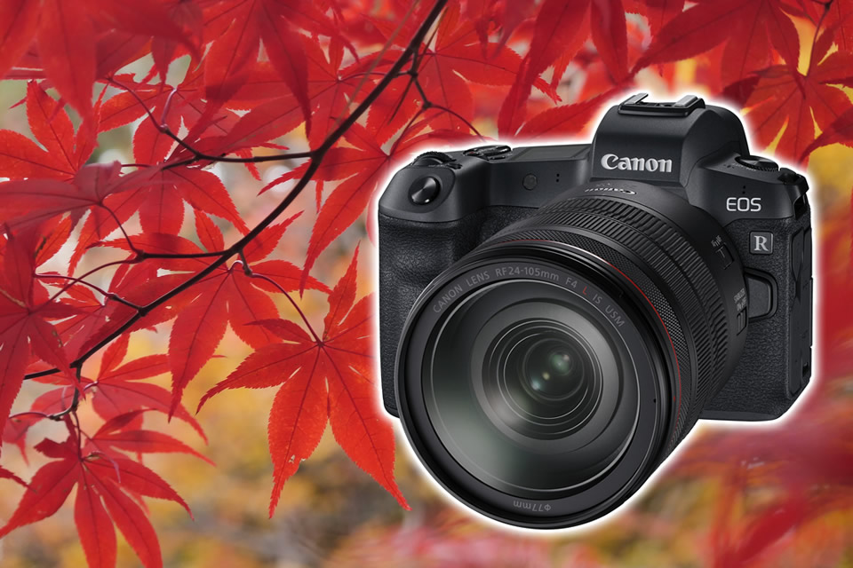 「EOS R」で米美知子先生と紅葉を撮ろう！ 参加無料の赤城EOS風景ゼミ開催 | CAPA CAMERA WEB