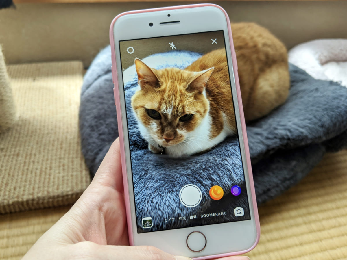 【イチからはじめるInstagram第3回：ストーリーズ投稿編】24時間で消えるもう1つの投稿方法とは？ | CAPA CAMERA WEB