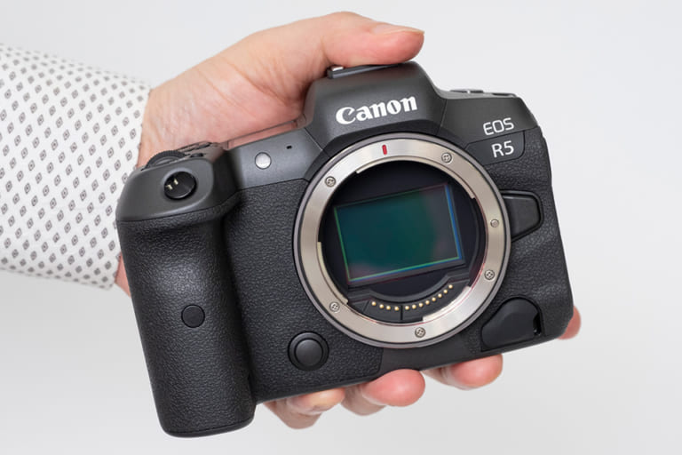 キヤノン「EOS R5」「EOS R6」で小さい被写体を撮影中、まれに正常に動作しなくなる現象を改善 | CAPA CAMERA WEB