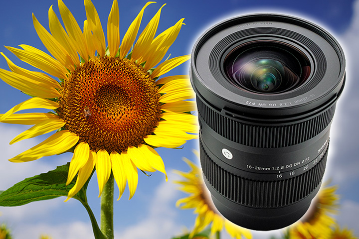 F2.8通しの小さな大口径超広角ズームレンズを実写チェック！ SIGMA 16-28mm F2.8 DG DN | Contemporary | CAPA CAMERA WEB