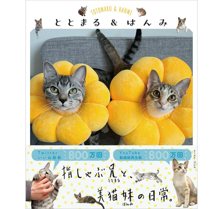“かわいい”以外の言葉が見つからない！ バズ猫兄妹の1st写真集『ととまる＆はんみ』 | CAPA CAMERA WEB