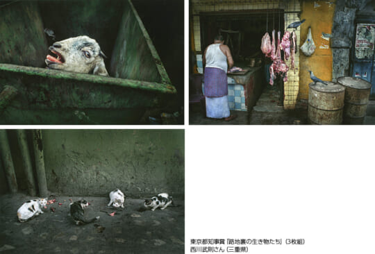 プロと公募で選ばれたアマチュアの力作が一堂に「第48回 2023 JPS展」 | CAPA CAMERA WEB