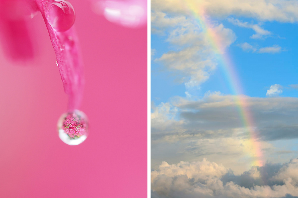 雨の日＆雨上がりの撮影テクニック9選！ どんな天気でも撮影日和になる | CAPA CAMERA WEB