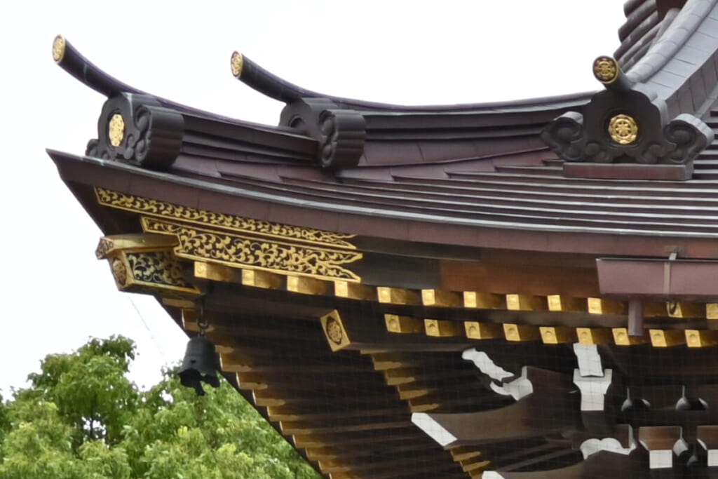 ニコンのリーズナブルな開放F1.7広角レンズを実写チェック！ NIKKOR Z DX 24mm f/1.7 | CAPA CAMERA WEB