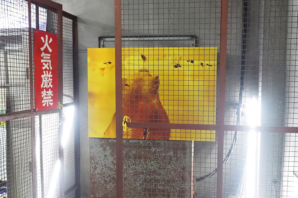 東條會舘写真研究所がギャラリーとしてオープン！ 暗室にも作品を展示 | CAPA CAMERA WEB