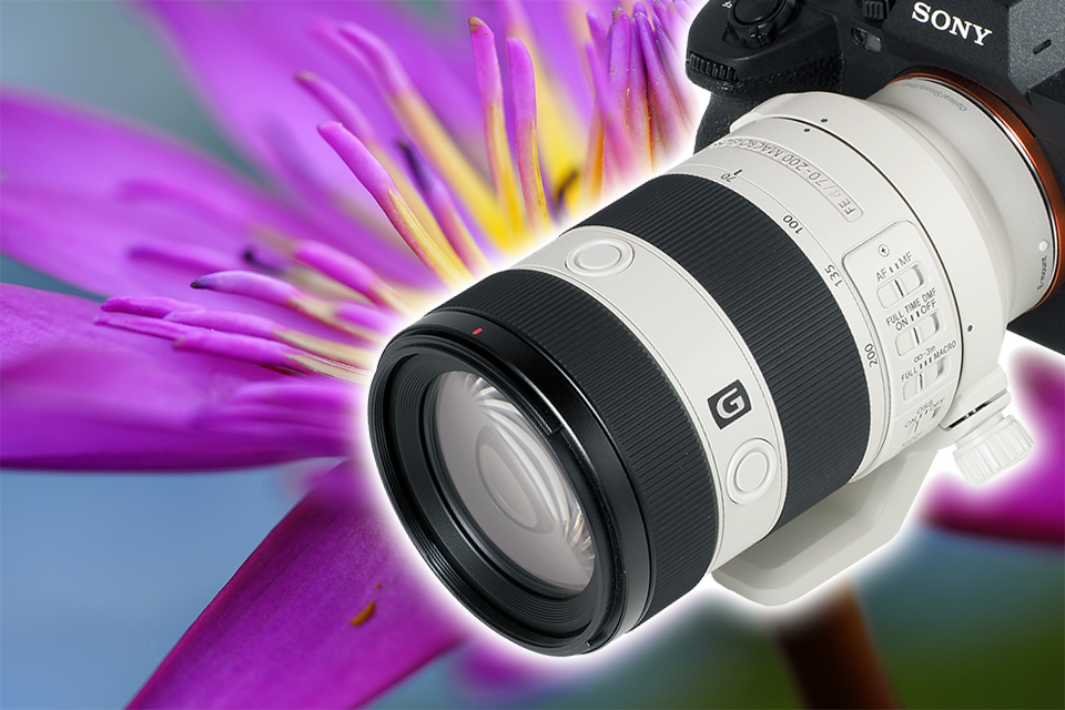 ハーフマクロ撮影ができるf4通しの望遠ズームで実写! ソニー Fe 70 200mm F4 Macro G Oss Ii Capa