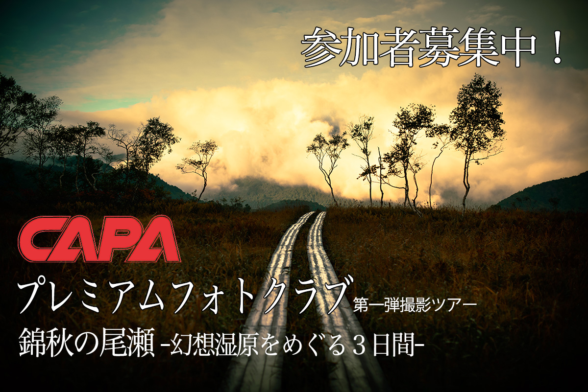 CAPA CAMERA WEB | CAPA CAMERA WEB