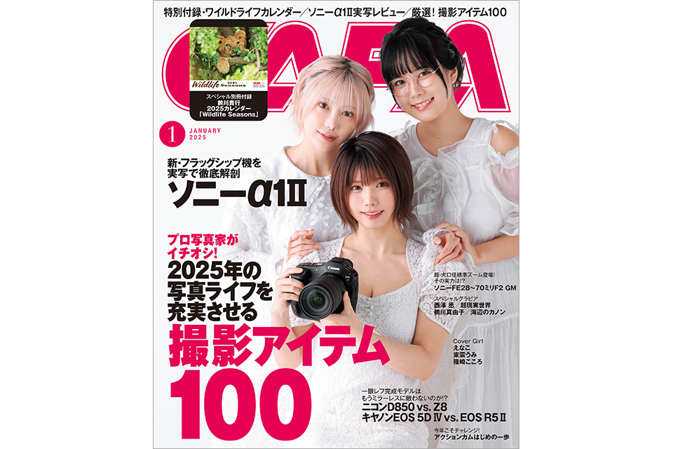 CAPA CAMERA WEB | CAPA CAMERA WEB