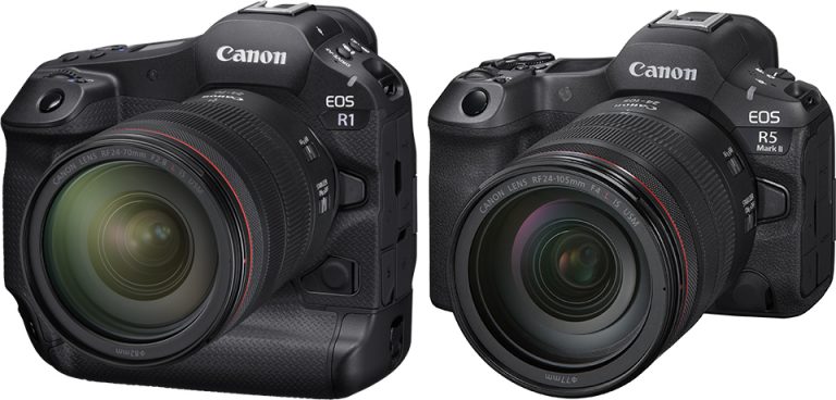 参加無料！ キヤノン「EOS R1」「EOS R5 Mark II」でバレーボール公式戦を撮ろう | CAPA CAMERA WEB
