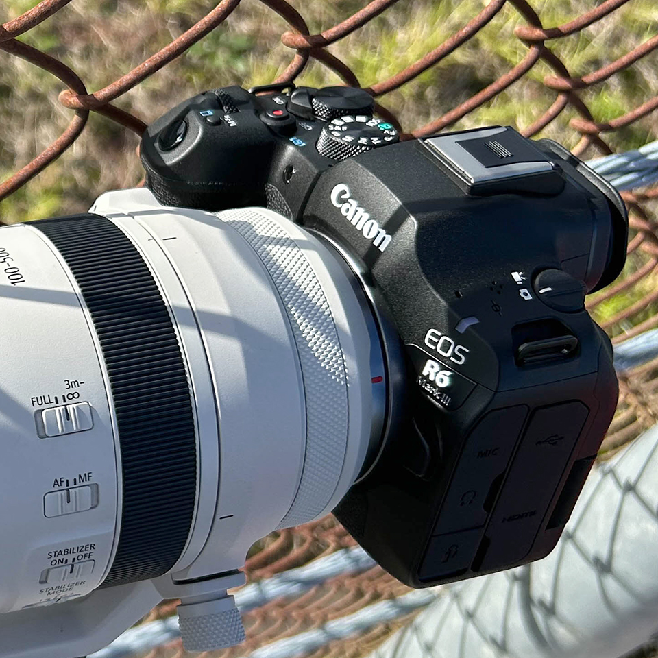 【実写レビュー】2日間で1万枚！「キヤノン EOS R6 Mark III」でSUPER GT最終戦を撮った | CAPA CAMERA WEB